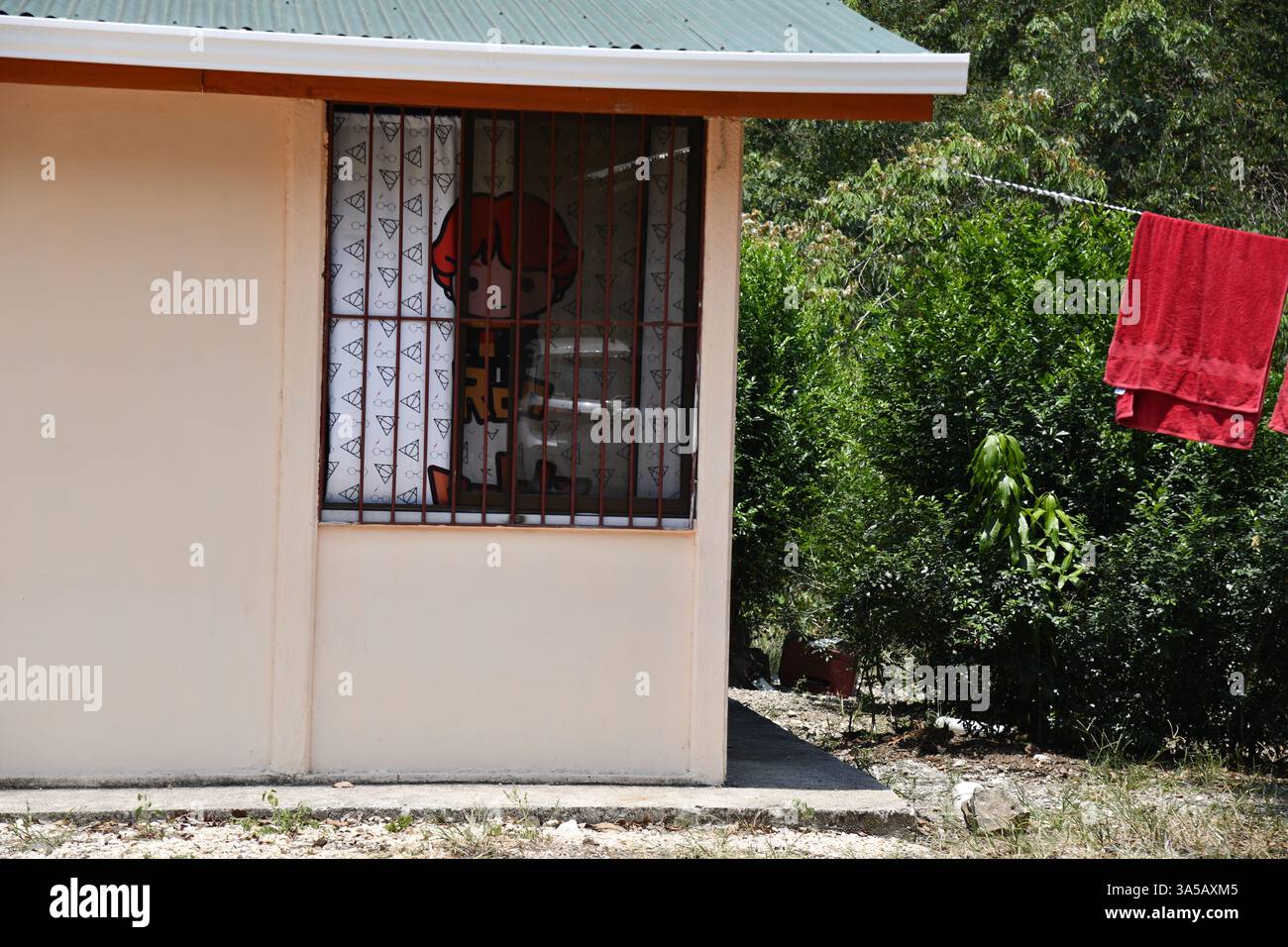 Costa at home hi-res stock photography and images - Alamy