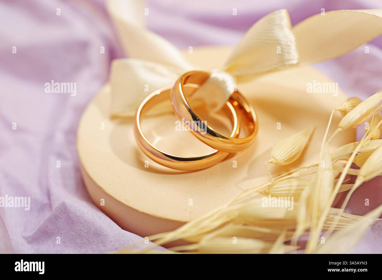 Wedding rings tied with ribbon and dry spikes on violet wrapping paper ...