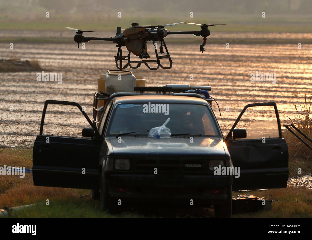 Drones spray pesticides over rice fields in Nakhon Sawan Province ...