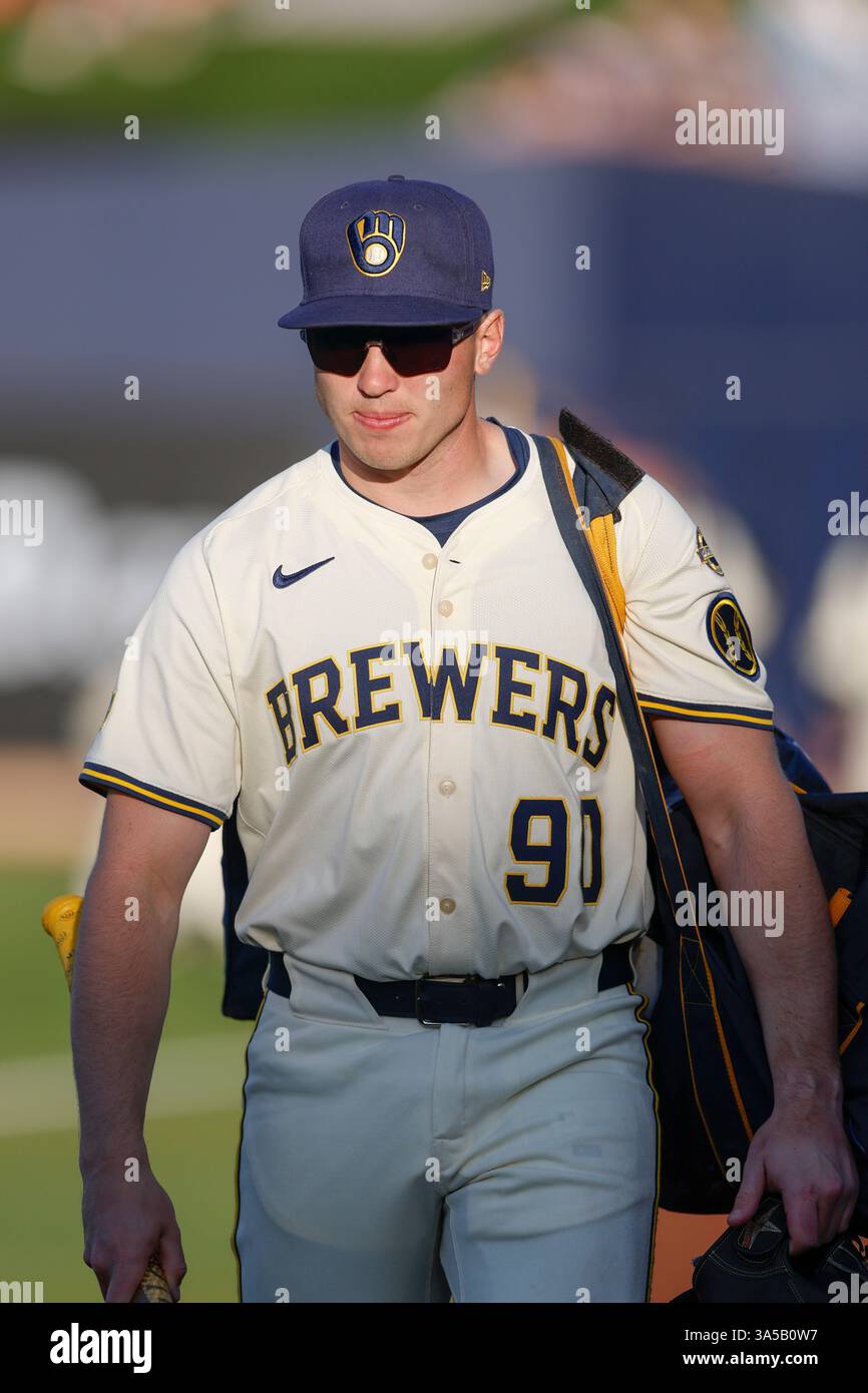 Phoenix, AZ. USA; Milwaukee Brewers catcher Darrien Miller (90) walks ...