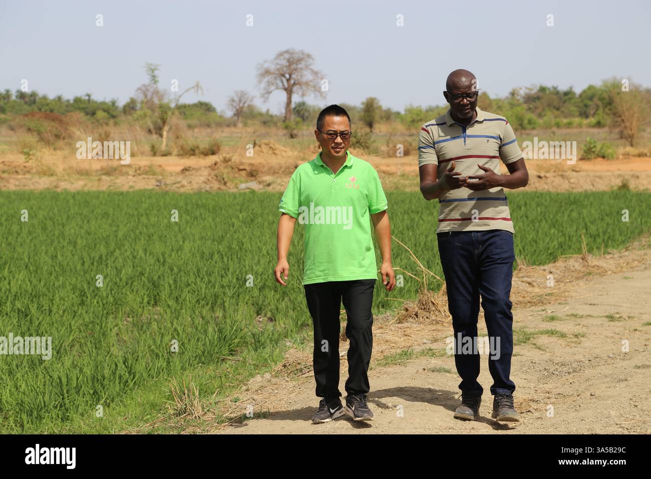 Banjul, The Gambia. 14th Mar, 2025. Huang Zhi (L) and Musa Darboe ...