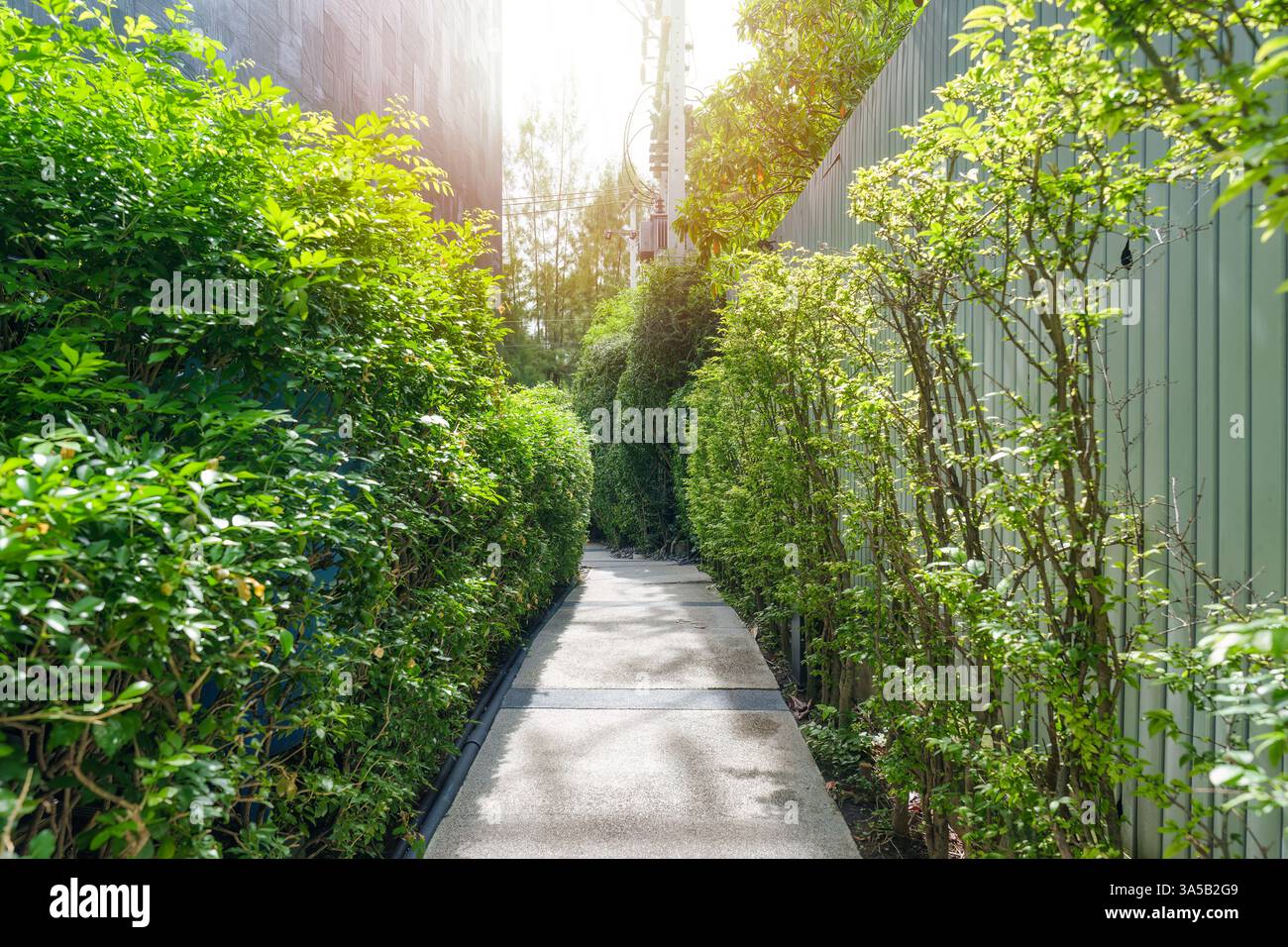 Scenic stone pathway surrounded hi-res stock photography and images - Alamy