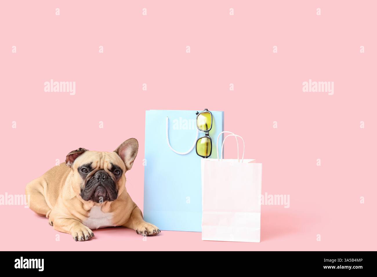 Cute French bulldog with shopping bags and sunglasses on pink ...
