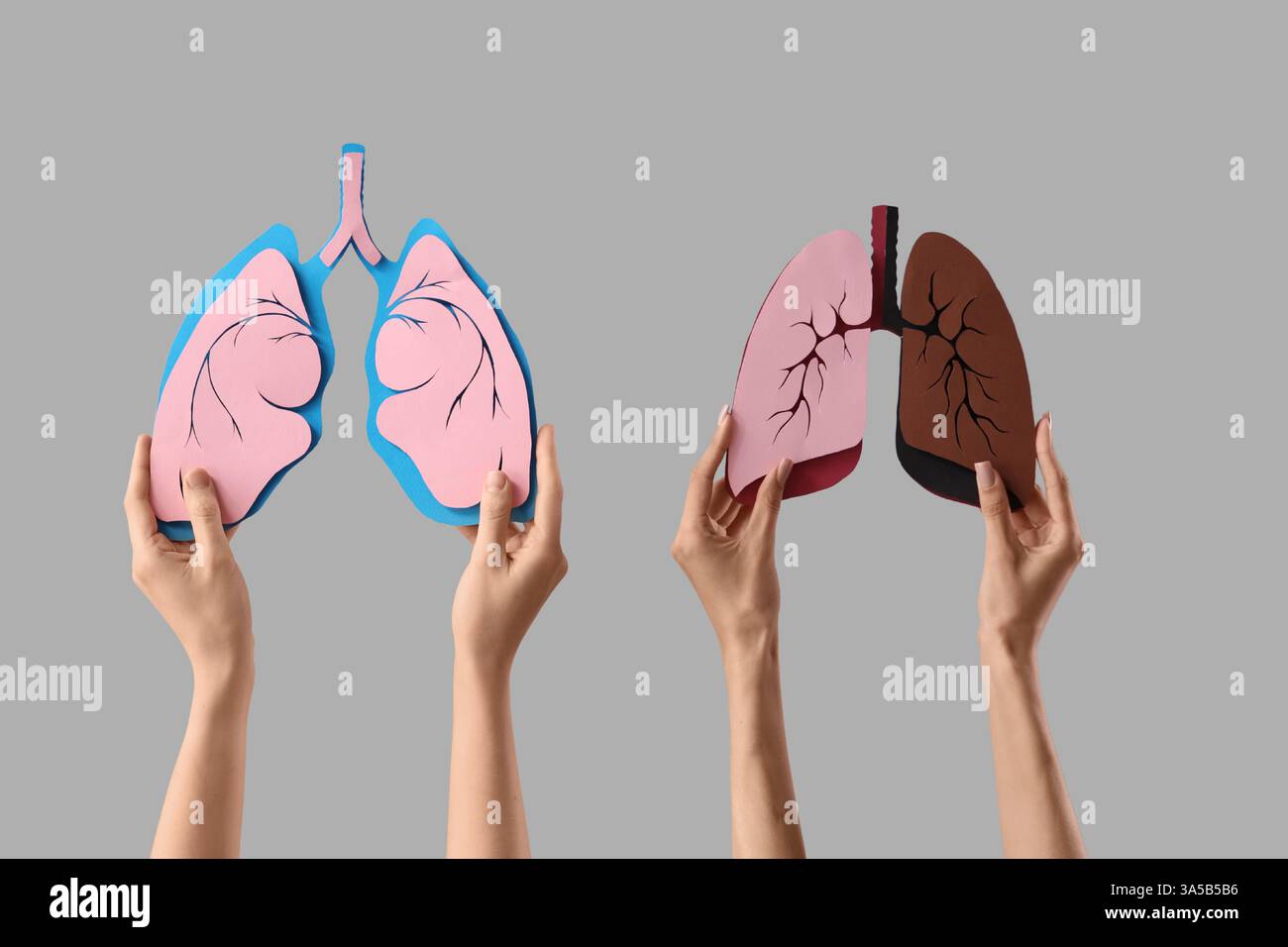 Women with paper lungs on light background Stock Photo - Alamy