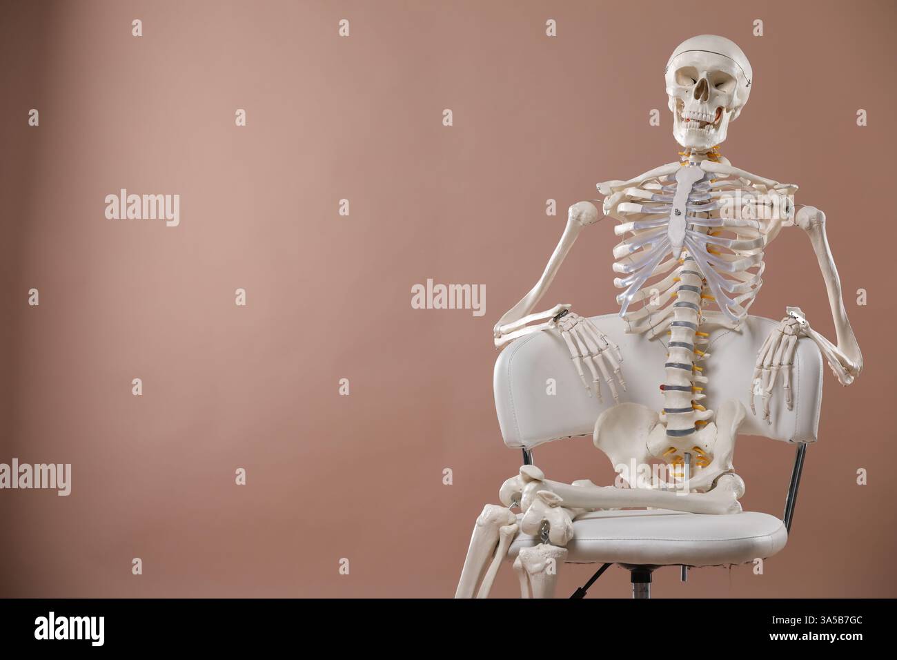 Artificial human skeleton model sitting on chair against light brown ...