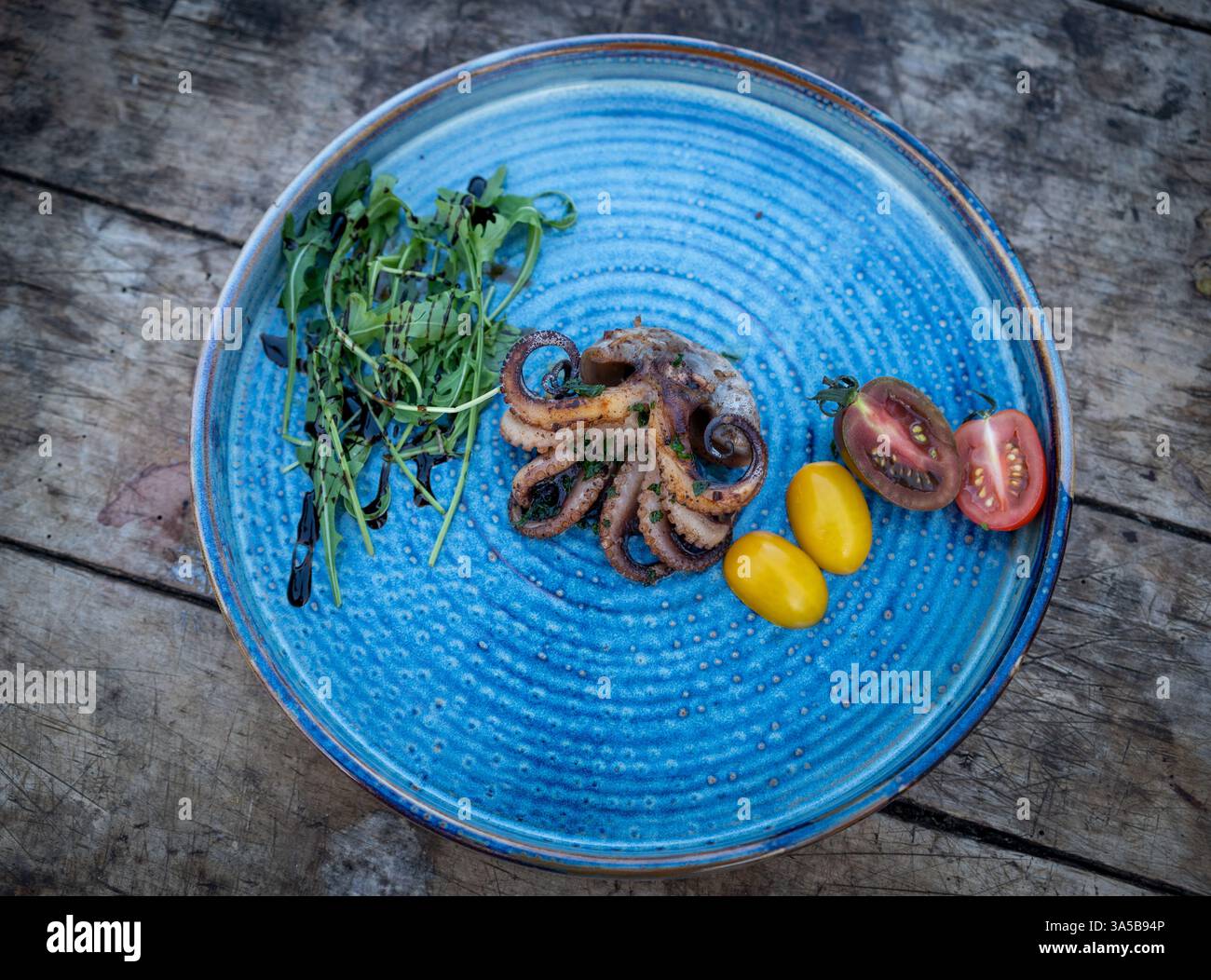 Gourmet Cooked Octopus with Tomatoes and Parsley Stock Photo - Alamy