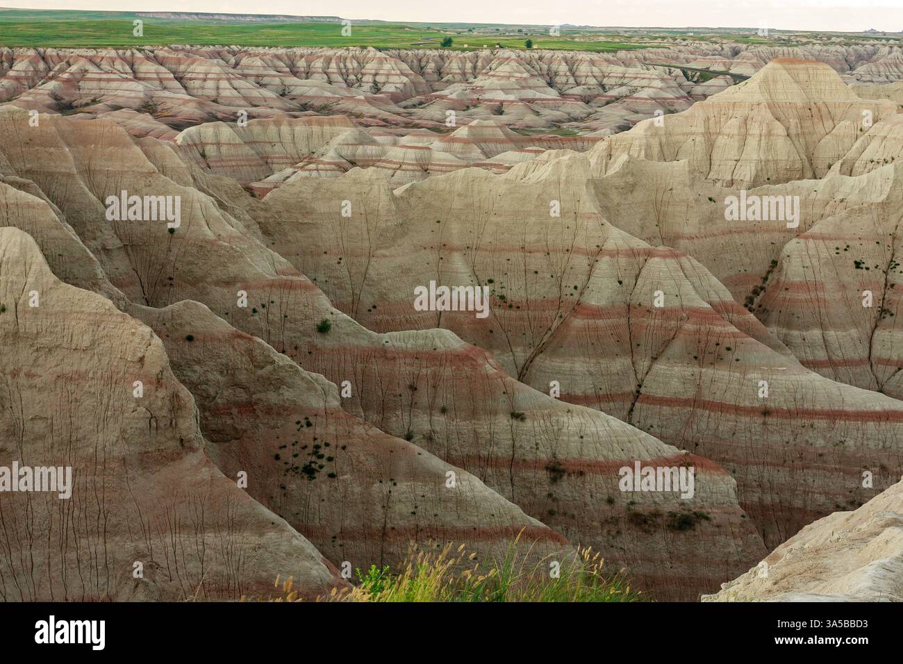 A detailed view of an eroded badlands landscape, showcasing the ...