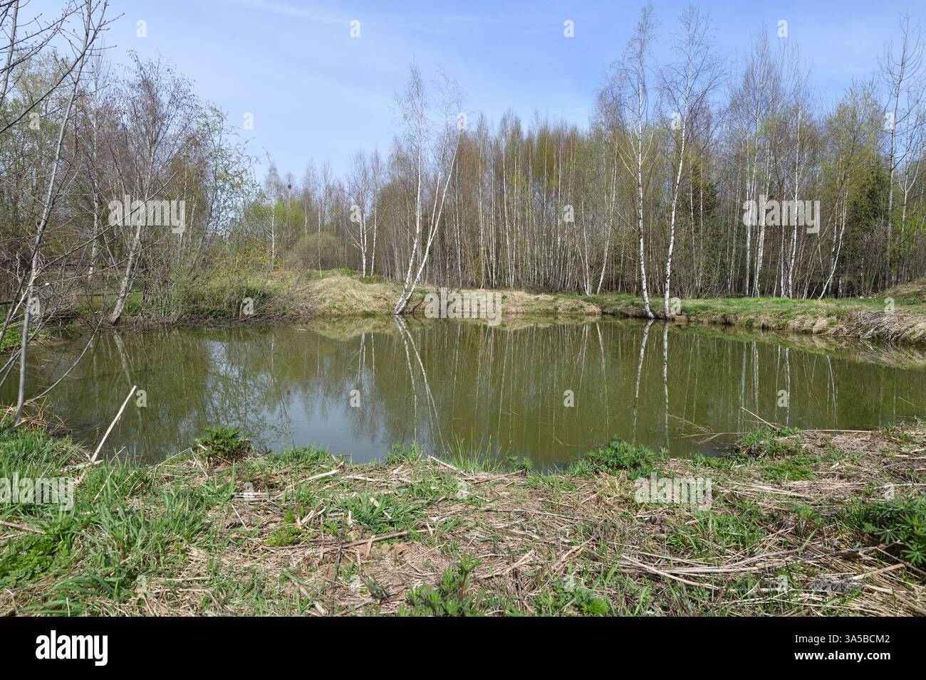 Landscape in an early spring with melt water Stock Photo - Alamy