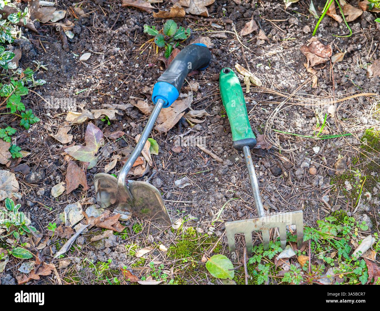 Backyard care hi-res stock photography and images - Alamy