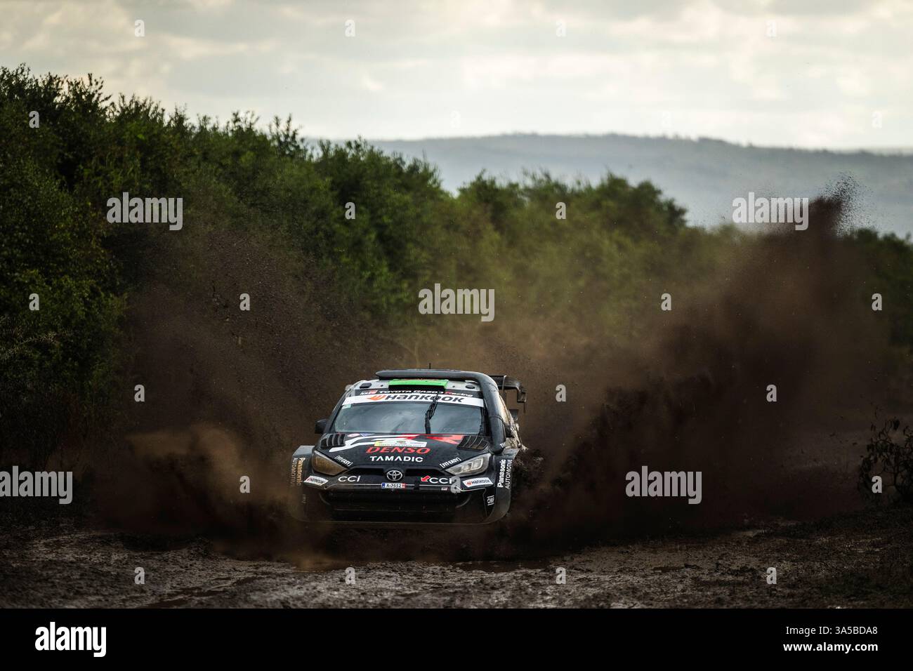 33 Elfyn EVANS, Scott MARTIN, Toyota GR Yaris Rally1, action during the ...