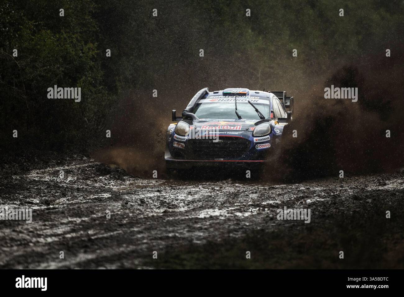 55 Joshua MCERLEAN, Eoin TREACY, Ford Puma Rally1, action during the ...