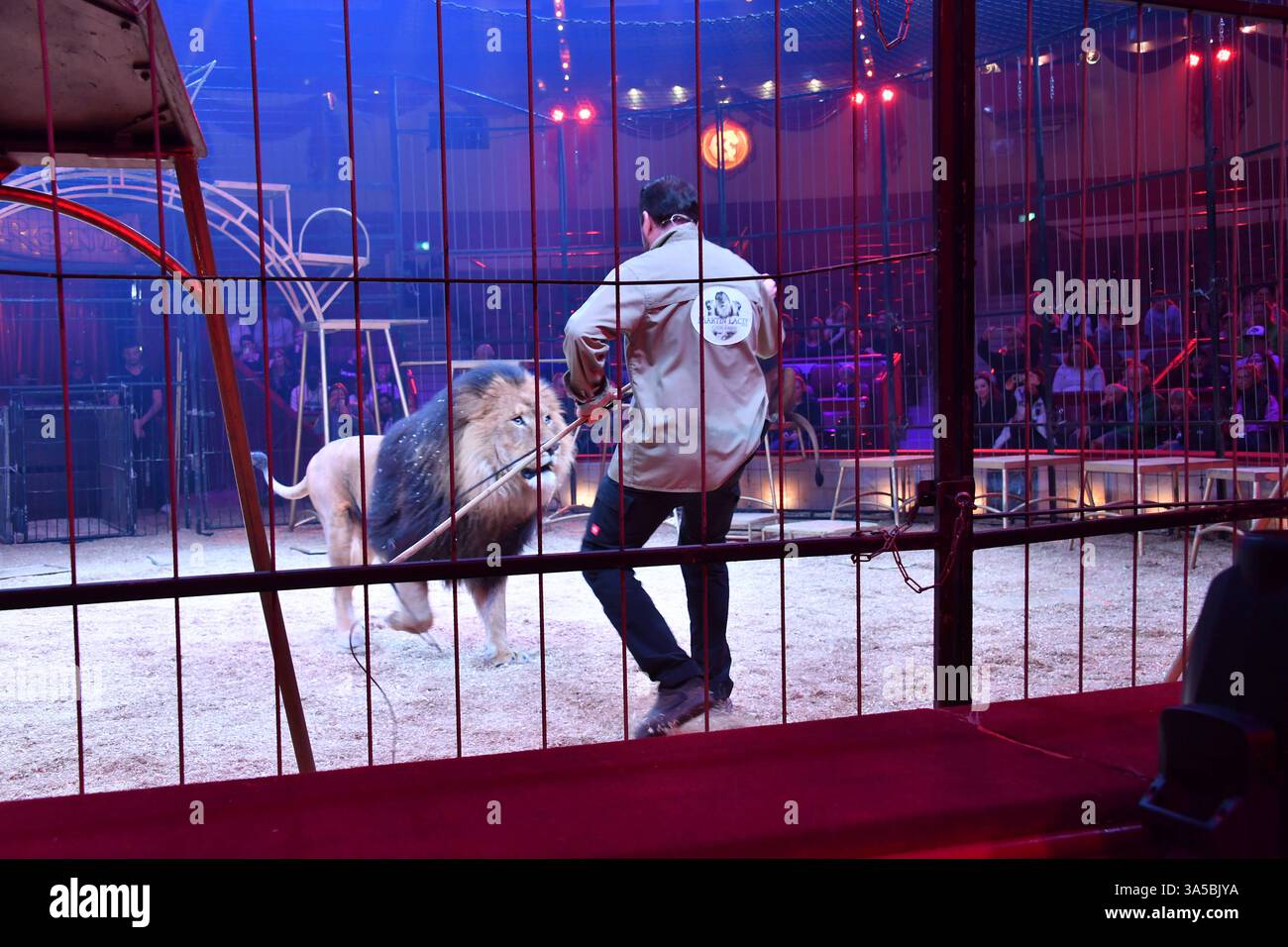 Martin Lacey jr. / Kommentierte Raubtierproben mit Marin Lacey jr. und ...