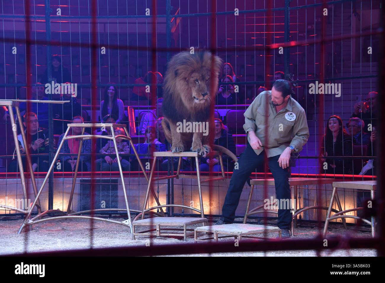 Martin Lacey jr. / Kommentierte Raubtierproben mit Marin Lacey jr. und ...