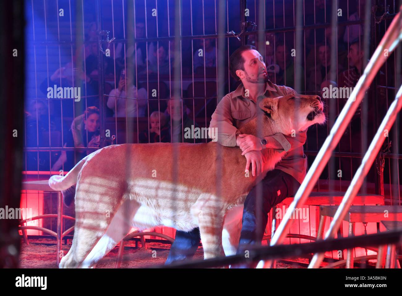 Martin Lacey jr. / Kommentierte Raubtierproben mit Marin Lacey jr. und ...