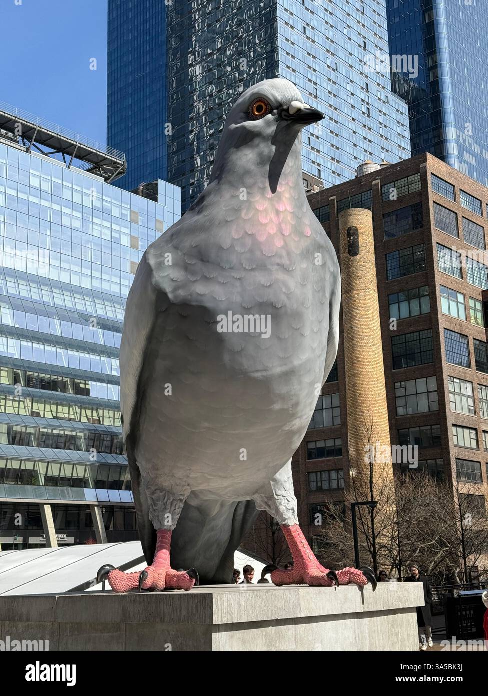 The High Line pigeon is the work of Colombian artist Iván Argote ...