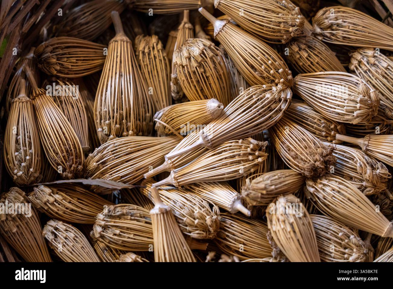 anise sticks for oral hygiene, souk market, Tangier, Morocco, North ...