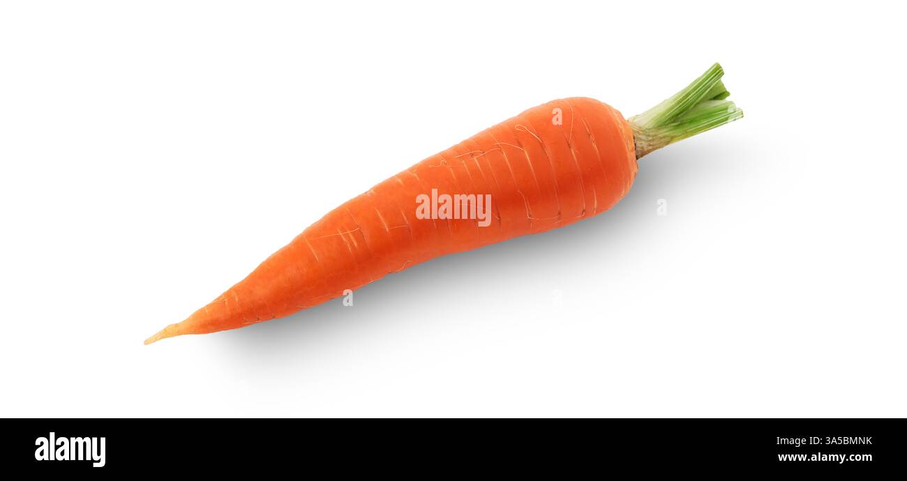 A carrot is shown on a white background. The carrot is long and thin ...