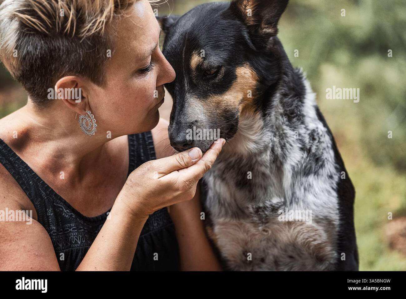 Border collie portrait woman hi-res stock photography and images - Alamy