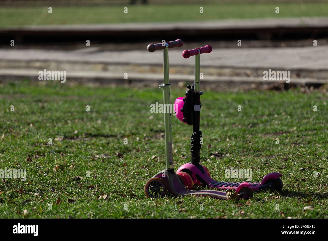 Colorful and Fun Two-Scooter Setup on Green Grass in a Park - Perfect ...