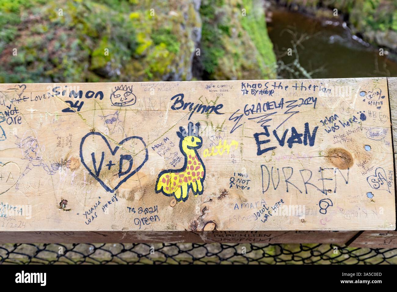 Graffiti on boardwalk railing - Witty's Lagoon Regional Park, Metchosin ...
