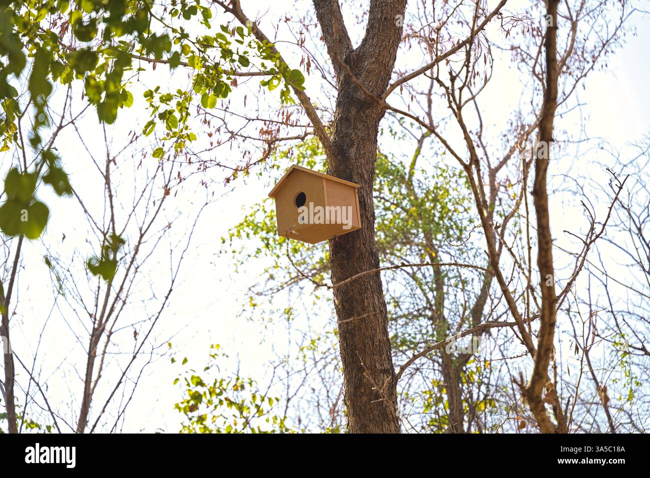 A bird house hanging on the bark of a tree, serving as shelter for ...