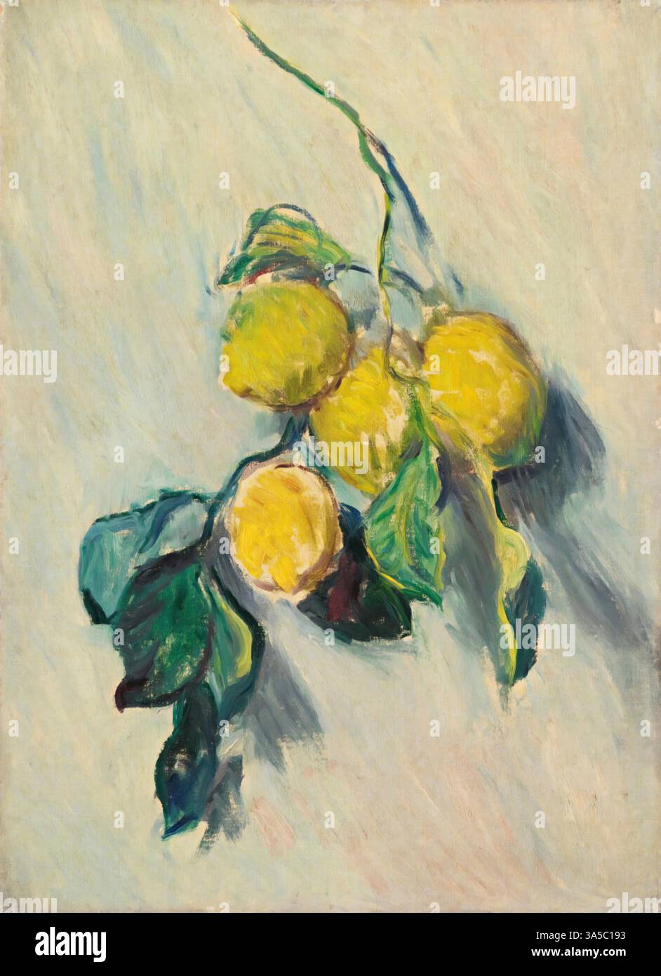 Art inspired from tree hi-res stock photography and images - Alamy