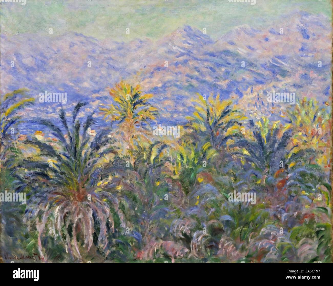 Landscape— bridge palm trees Stock Vector Images - Alamy