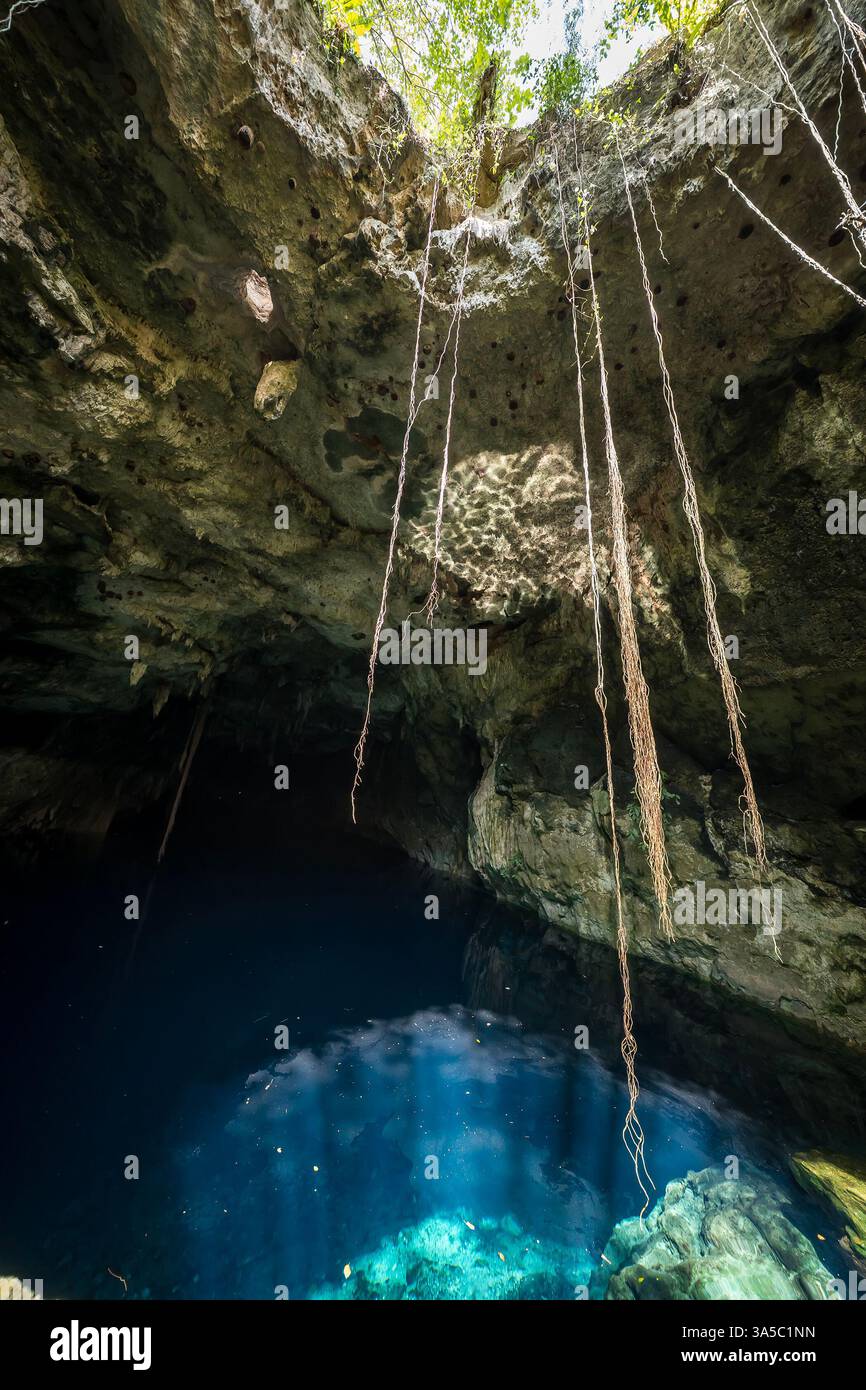 The beautiful waters in the cenotes of Cuzama, Yucatan, Mexico Stock ...