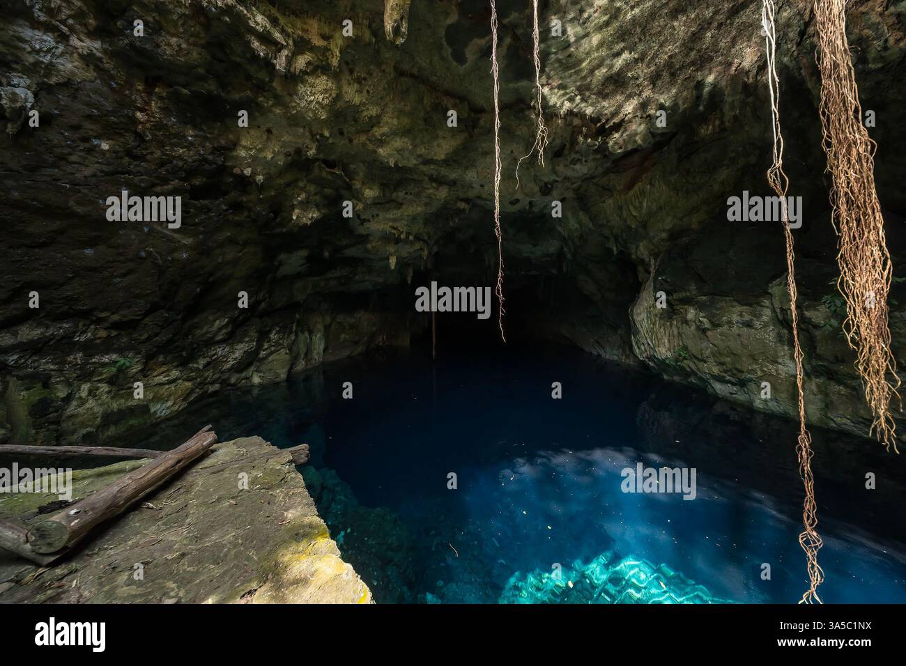 The beautiful waters in the cenotes of Cuzama, Yucatan, Mexico Stock ...