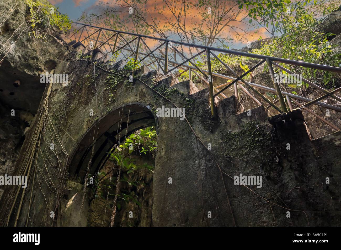 The beautiful waters in the cenotes of Cuzama, Yucatan, Mexico Stock ...