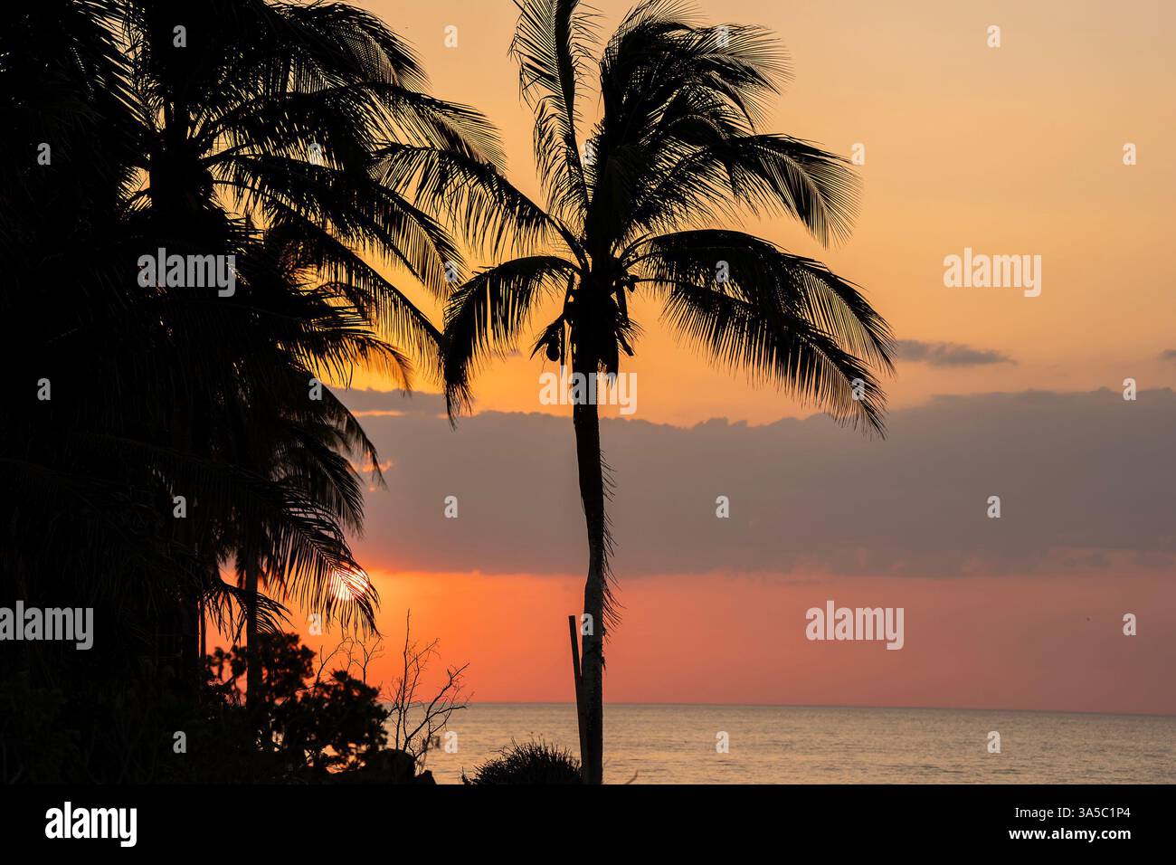 A breathtaking view of the Mexican coastline in Telchac Puerto, Yucatn ...
