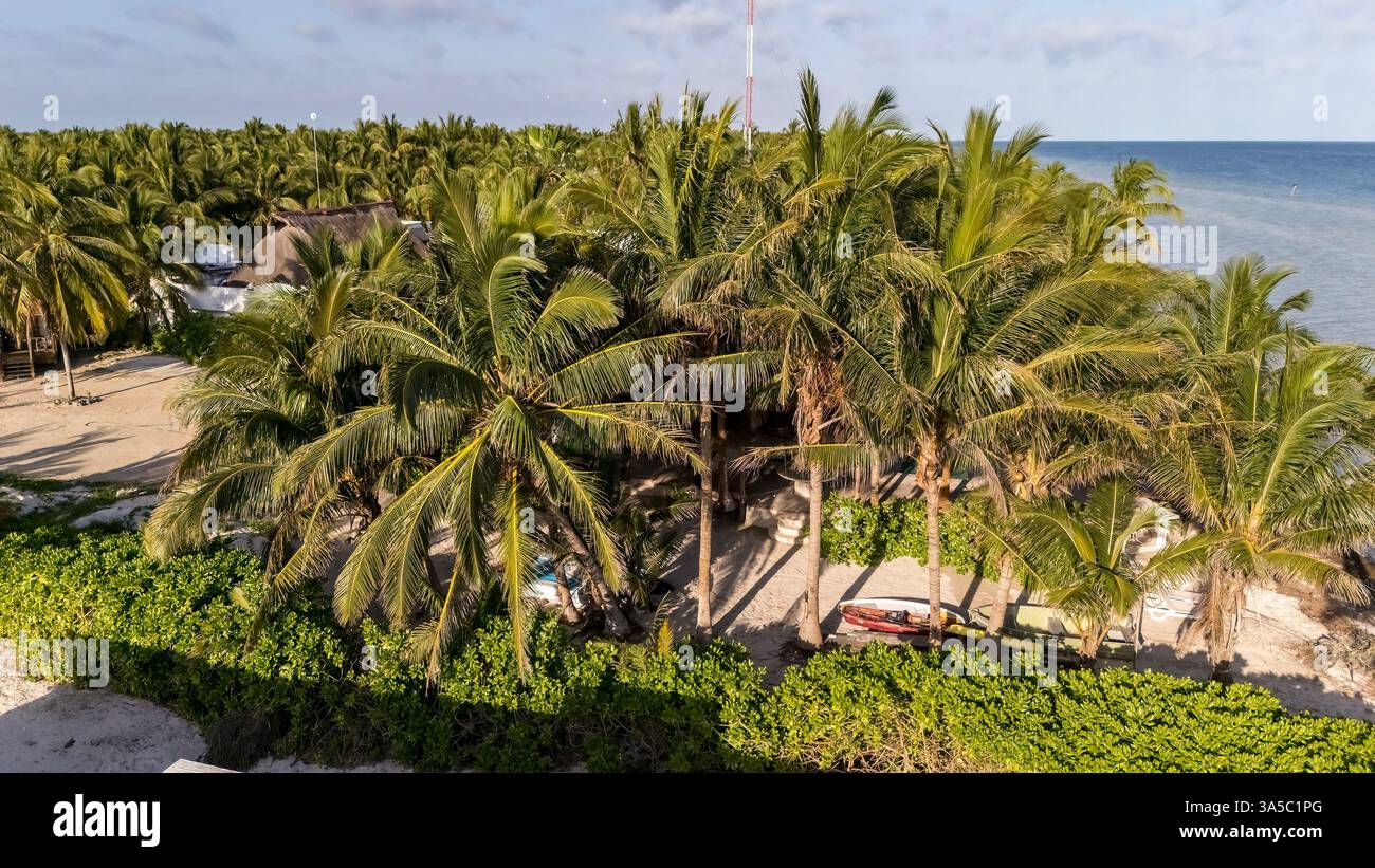 A breathtaking view of the Mexican coastline in Telchac Puerto, Yucatn ...