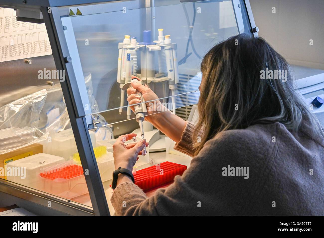 In the biological laboratory. Scientific research of molecular and ...