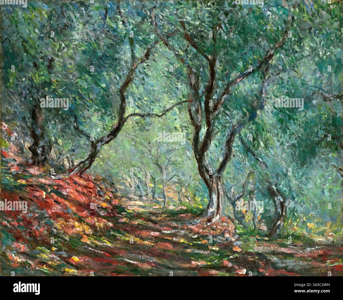 The olive tree wood in the Moreno garden 1884 (Painting) by Monet ...