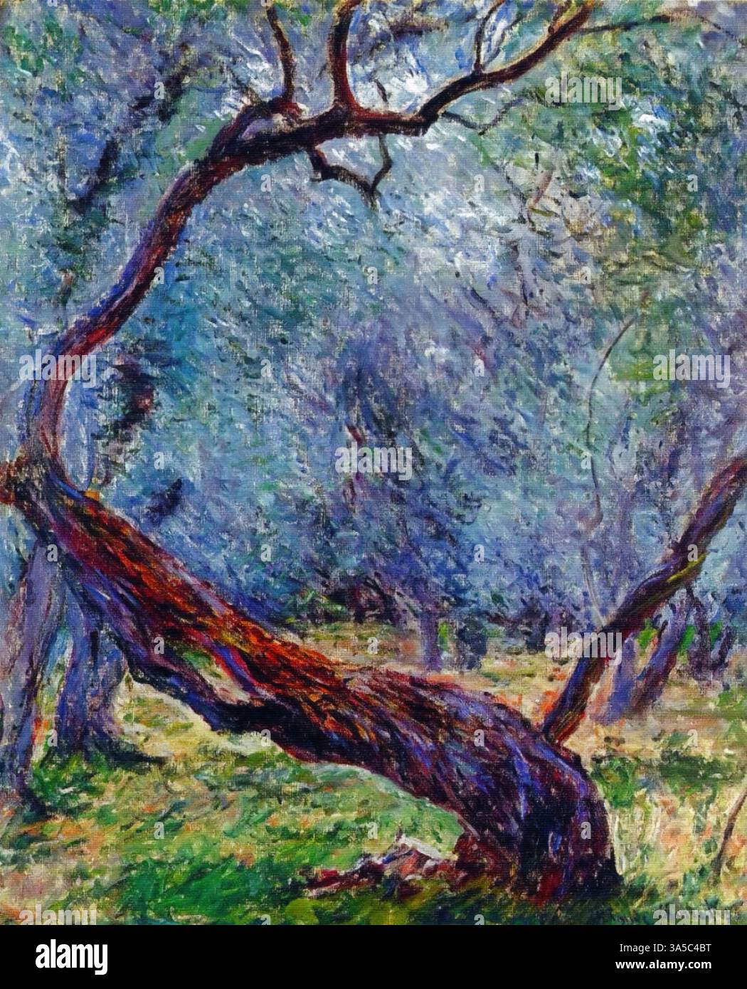 Olive landscape painting Stock Vector Images - Alamy