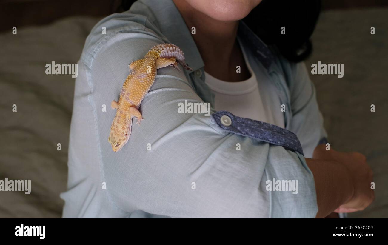 A close-up of a smiling woman interacting with a gecko on her arm. The ...