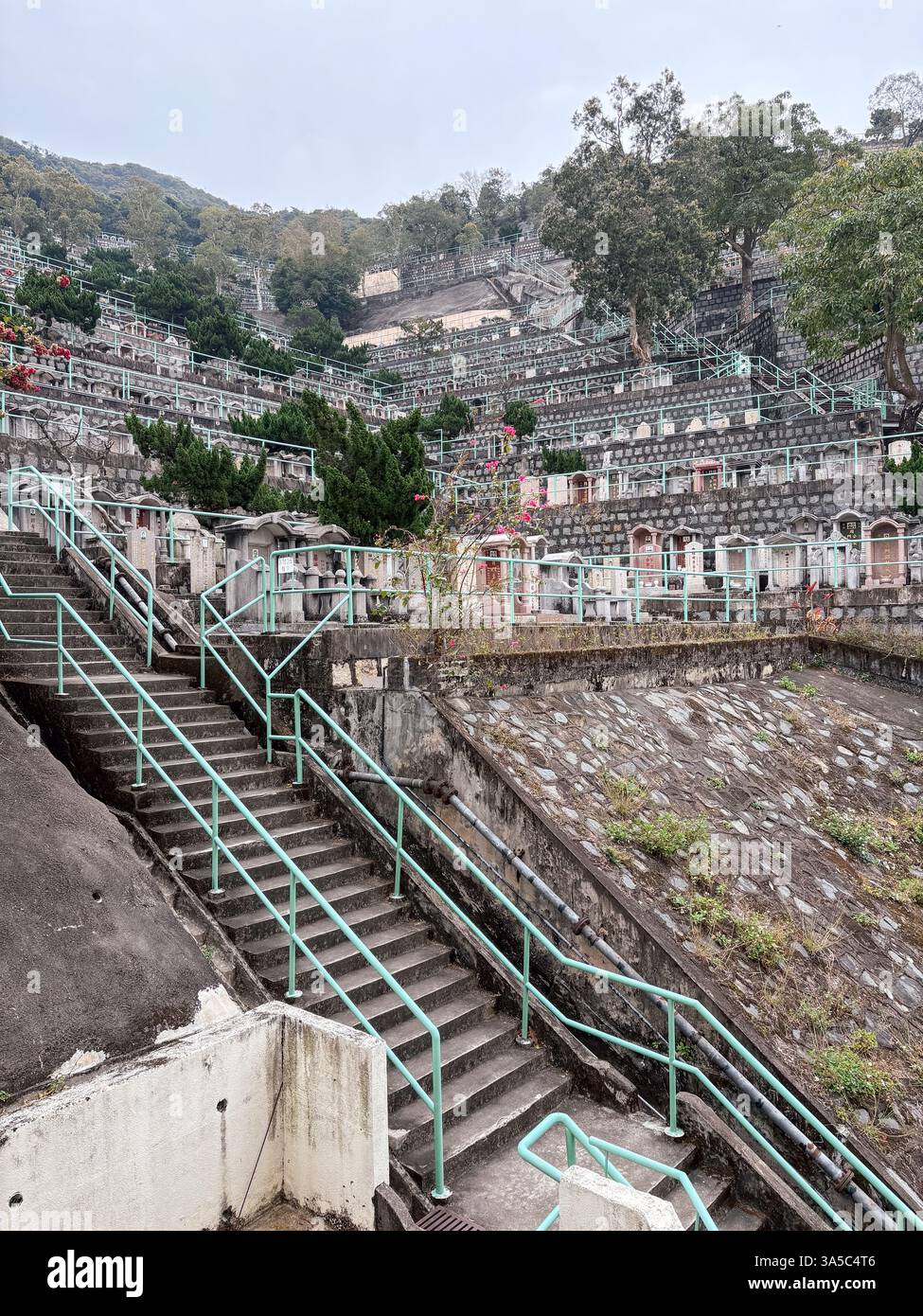 View of terraced graves at Chai Wan Cemetery, Hong Kong, showing steps ...