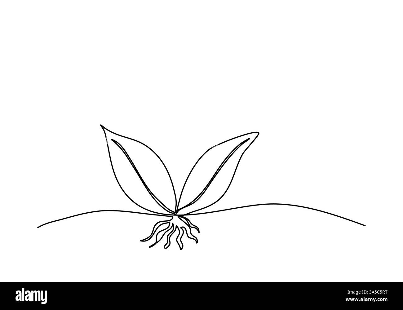 Plant one line drawing vector illustration Stock Vector Image & Art - Alamy