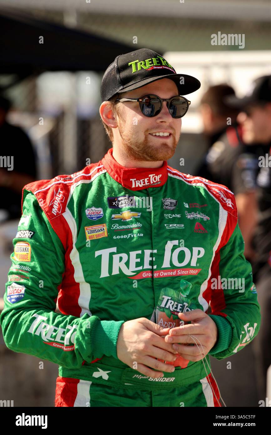 HOMESTEAD, FL - MARCH 22: Myatt Snider (#91 DGM Racing x JIM Tree Top ...