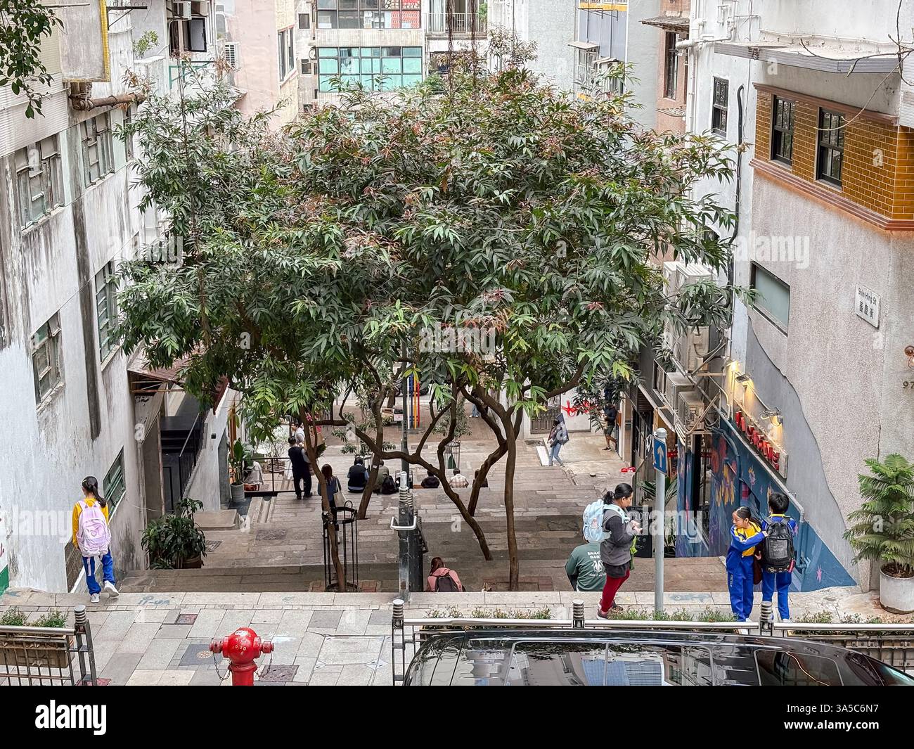 Pottinger Street is a paved slope in Hong Kong's Central area, known ...