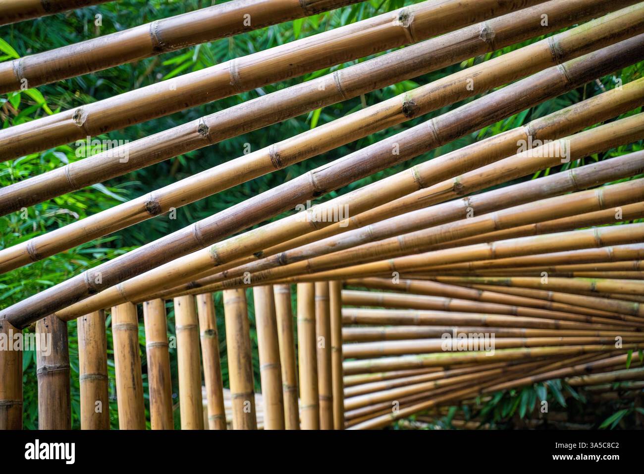 Bamboo tunnel structure with intricate lattice design, showcasing ...