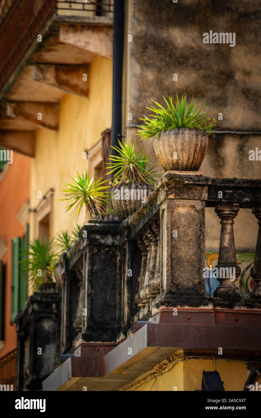 Old balcony balustrade decorated with flowers Stock Photo - Alamy