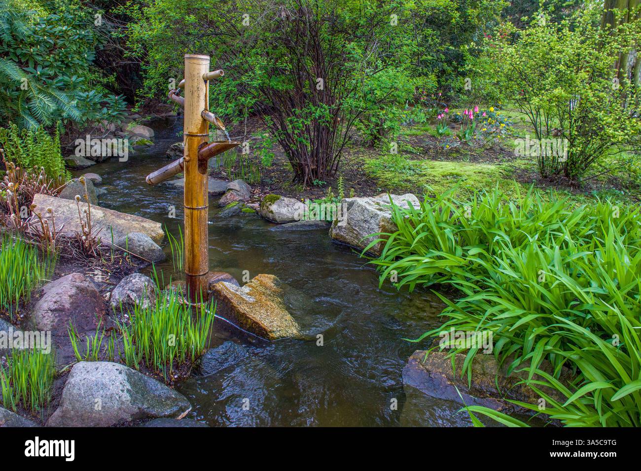 Water source from bamboo hi-res stock photography and images - Alamy
