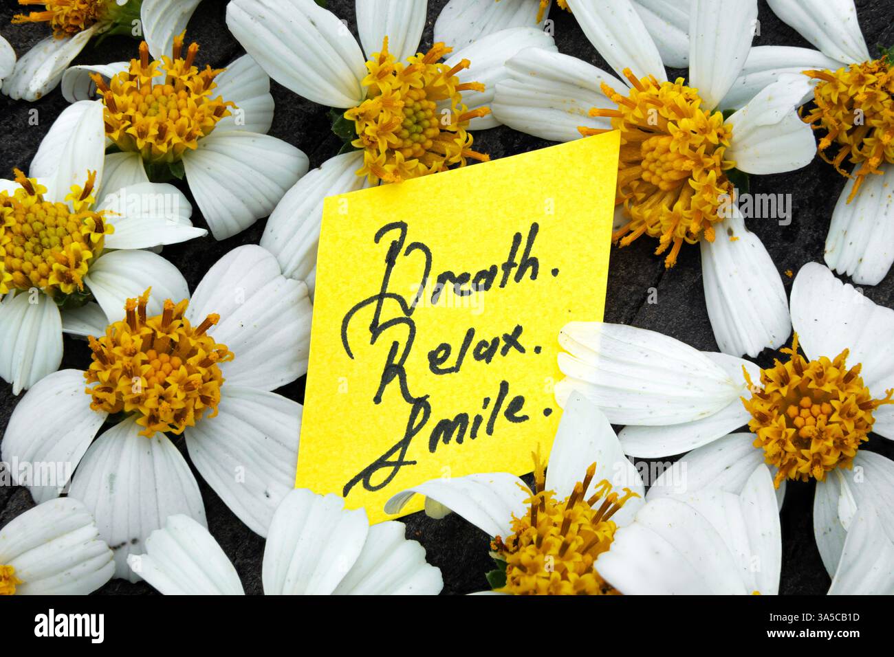 Breathe, Relax, Smile – Handwritten Motivation. Inspirational Message ...