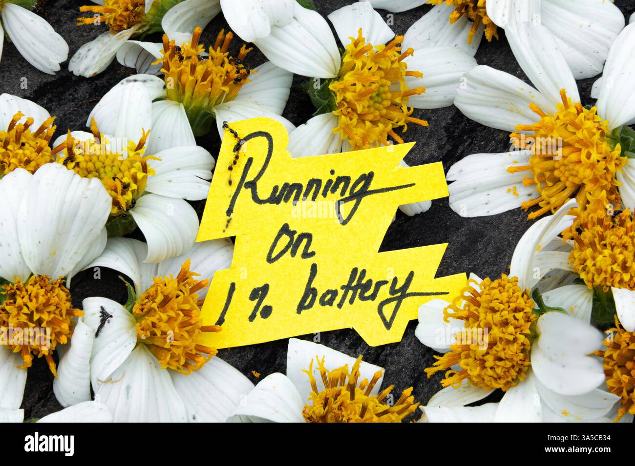 Running on 1% Battery Sticky Note on Withered Flowers. Yellow Sticky ...