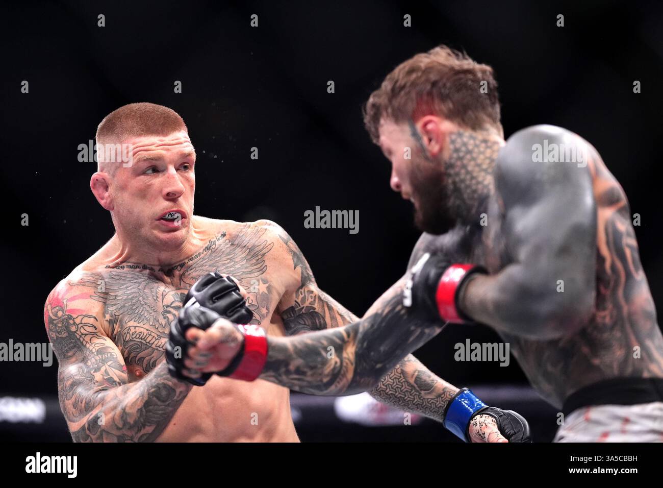 Chris Duncan (left) in action against Jordan Vecenic in the lightweight ...