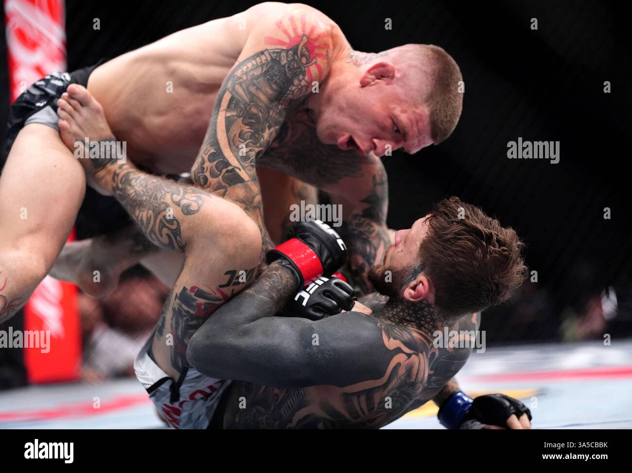 Chris Duncan (left) in action against Jordan Vecenic in the lightweight ...