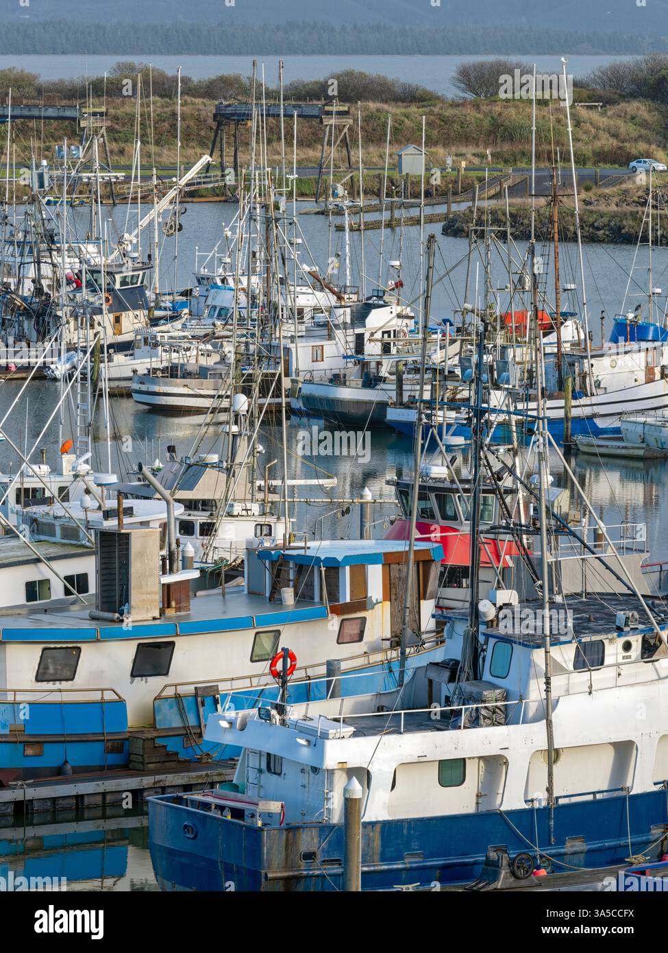 Commercial fishing boats docked at the harbor marina in Ilwaco ...
