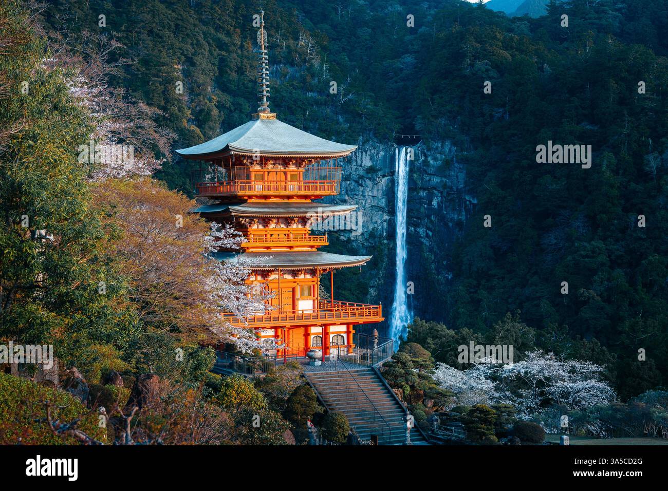 The majestic Nachi Falls, Japan’s tallest single-drop waterfall ...