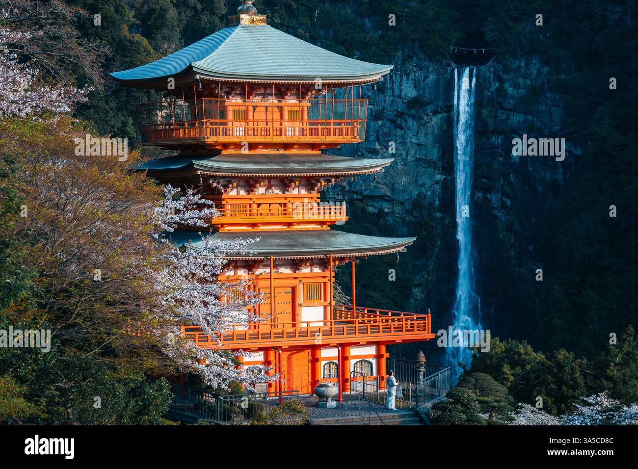The majestic Nachi Falls, Japan’s tallest single-drop waterfall ...